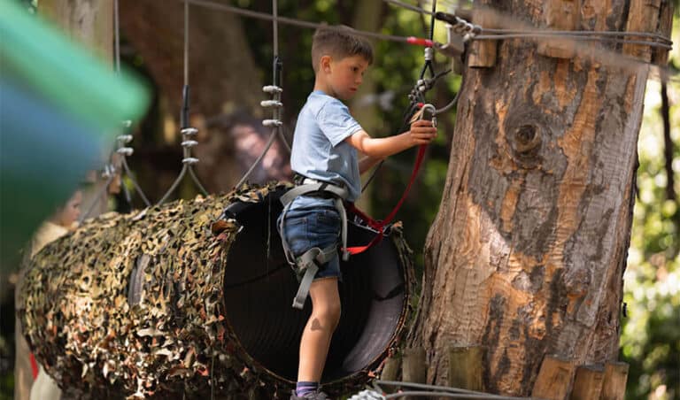 Treetop Activity Days in Warrington | Jungle Parc