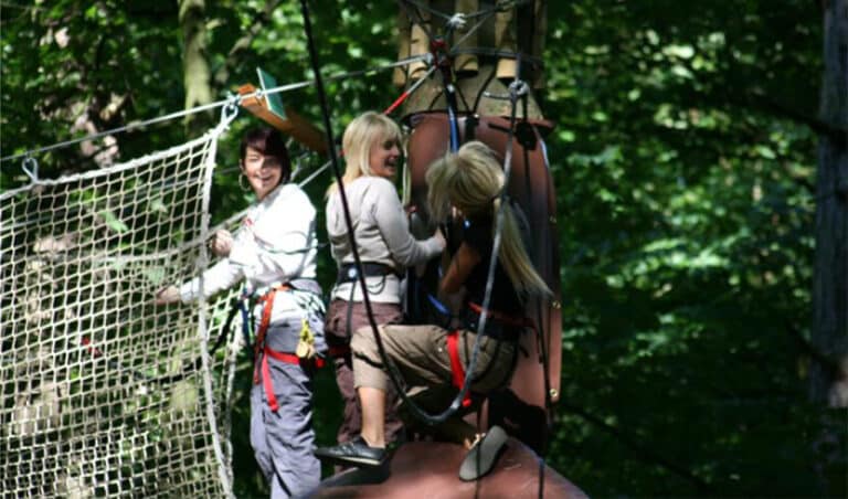 Treetop Activity Days in Swindon | Jungle Parc